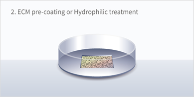 MicroFIT - Expert Corporation on Biomimetic Platform | Product ...